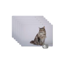 MuchoWow Platzset, Porträt einer grauen Maine Coon Katze
