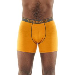 Icebreaker Merino Anatomica Boxershorts - Mann - Cavern - Größe S