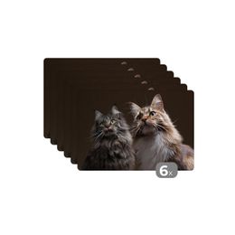 MuchoWow Platzset, Zwei süße Maine Coon Katzen