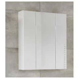 TRENDTEAM Badezimmerspiegelschrank Monte Spiegelschrank Badezimmerspiegel Spiegel in weiß 60 x 74 x 18 cm