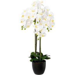 Kunstorchidee Phalaenopsis im Resintopf Orchidee Phalaenopsis, Creativ green, Höhe 99 cm, mit Real-Touch-Blüten, weiß