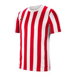 Nike Fußballtrikot Division IV Striped Trikot kurzarm