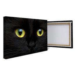 wandmotiv24 Leinwandbild Nahaufnahme der schwarzen Katze
