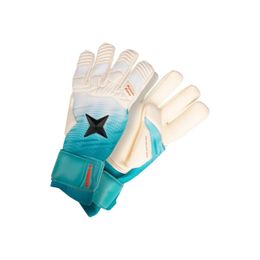 Derbystar Torwarthandschuhe APS Pro Grip Aqua Torwarthandschuh