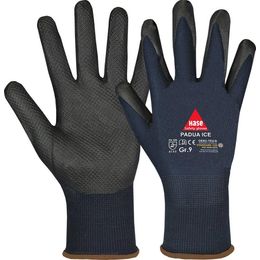 HASE SAFETY GLOVES Montage-Handschuhe Padua Ice 12 Paar