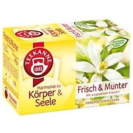 Teekanne Muntermacher Kräuter Tee 20 Stück à 2 g