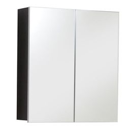 TRENDTEAM Badezimmerspiegelschrank Line/Skin Spiegelschrank Badspiegel Spiegel in Rauchsilber 60 x 67 x 18 cm