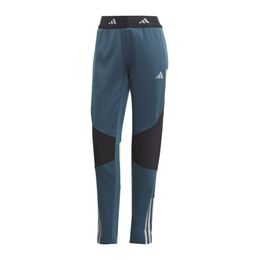 adidas Performance Trainingshose Tiro 23 Competition Trainingshose Winter Damen