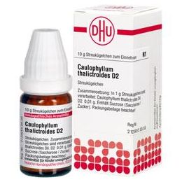 DHU-Arzneimittel Caulophyllum Thalictroides D 2 Globuli 10 g