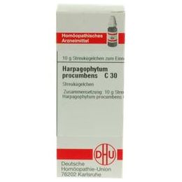 DHU-Arzneimittel Harpagophytum Procumbens C 30 Globuli 10 g