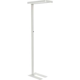 LED-Standleuchte Mauljaval Maul