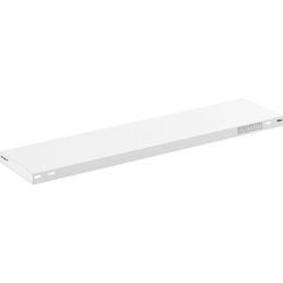 eurokraft pro Fachboden extra, inkl. Bodenträgern, lichtgrau, BxT 1000 x 300 mm