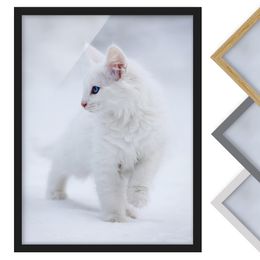 Bilderwelten Bild mit Rahmen Wei&szlig; wie Schnee - gerahmte Wandbilder Print Tiere Wohnzimmer Schlafzimmer Bad Badezimmer K&uuml;che Flur Esszimmer