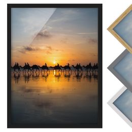 Bilderwelten Bild mit Rahmen Kamele im Sonnenuntergang - gerahmte Wandbilder Print Tiere Wohnzimmer Schlafzimmer Bad Badezimmer K&uuml;che Flur Esszimmer Orange