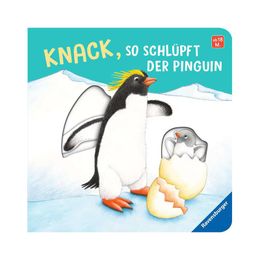 RAVENSBURGER VERLAG Knack, so schlüpft der Pinguin - Frauke Nahrgang, Pappband