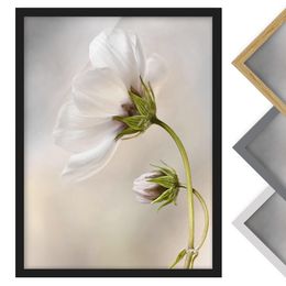 Bilderwelten Bild mit Rahmen Himmlischer Bl&uuml;tentraum - gerahmte Wandbilder Print Blumen Floral Landhausstil Wohnzimmer Schlafzimmer Bad Badezimmer K&uuml;che Flur