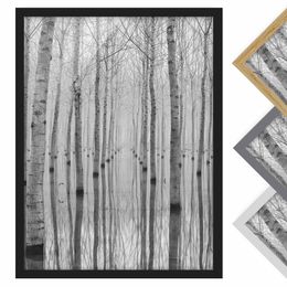 Bilderwelten Bild mit Rahmen Birken im November - gerahmte Wandbilder Print Wald B&auml;ume Kunstdruck Natur Schwarz-Wei&szlig; Wohnzimmer Schlafzimmer Bad Badezimmer K&uuml;che