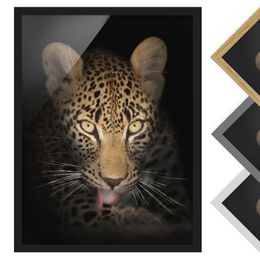 Bild mit Rahmen Resting Leopard - gerahmte Wandbilder Print Tiere Portrait Schwarz-Wei&szlig; Wohnzimmer Schlafzimmer Bad Badezimmer K&uuml;che Flur Esszimmer