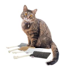 Canadian Cat Company Tier-Beschäftigungsspielzeug Katzen Filzkissen FELTY 4er Set
