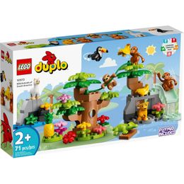 Lego® Konstruktionsspielsteine Lego® Duplo 10973 Wilde Tiere Südamerikas