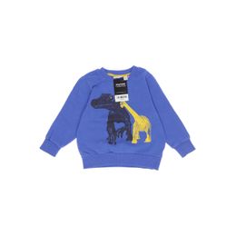 Esprit Jungen Hoodies & Sweater, blau
