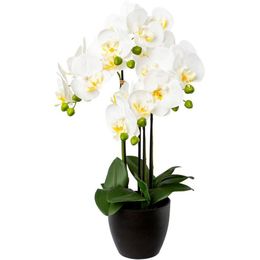 Kunstorchidee Phalaenopsis im Resintopf Orchidee Phalaenopsis, Creativ green, Höhe 55 cm, mit Real-Touch-Blüten, weiß