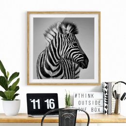 MICASIA Bild mit Rahmen - Zebra Baby Portrait ii Größe HxB: 20cm x 20cm, Rahmen: Eiche