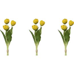 Gefüllte Tulpen, real touch, 3er-Bund - kaiserkraft