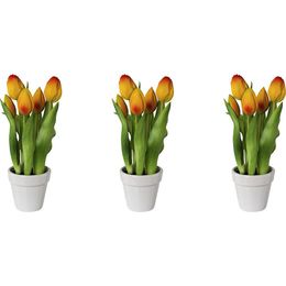 Tulpen, real touch, im Keramiktopf - kaiserkraft