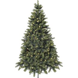 Tannenbaum mit LEDs - kaiserkraft