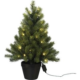 Tannenbaum im Topf mit LEDs - kaiserkraft