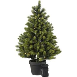 Tannenbaum im Topf mit LEDs - kaiserkraft