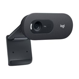 Logitech Logitech C505e HD Webcam BLK WW Webcam