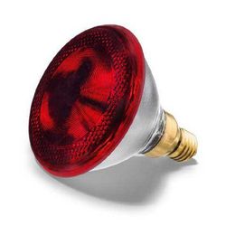 Beurer Glühbirne Infrarotlicht 100W 1 St