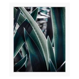 Bild queence "Juli" Bilder Gr. B/H: 50 cm x 70 cm, Wandbild Blätter Hochformat, grün (weiß) Kunstdrucke gerahmt, Blätter