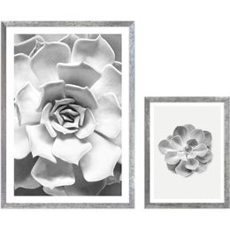 Bild mit Rahmen Komar "Succulent Aeonium" Bilder Gr. B/H: 1x 30x40 cm und 1x 50x70 cm, Succulent Aeonium 1 x 30 x 40 cm und 1 x 50 x 70 cm, 2 St., bunt Bilder mit Rahmen maschinell