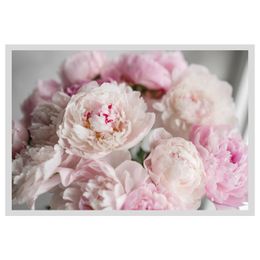Bild queence "Amalia" Bilder Gr. B/H: 60 cm x 50 cm, Wandbild Blumen Querformat, rosa (weiß) Kunstdrucke gerahmt, Rosen