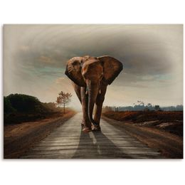 Holzbild Artland "Ein Elefant läuft auf der Straße" Bilder Gr. B/H/T: 80 cm x 60 cm x 1,2 cm, Holzbild Elefanten Bilder Querformat, 1 St., braun Holzbild Holzbilder