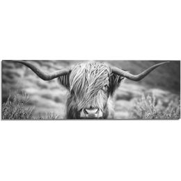 Wandbild Reinders "Wandbild Highlander Bulle Tiermotiv - Nahaufnahme Hochlandrind Bild" Bilder Gr. B/H: 156 cm x 52 cm, Kuh, 1 St., schwarz (schwarz, weiß) Kunstdrucke