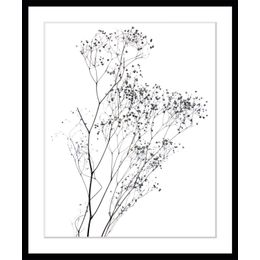 Bild queence "Dana" Bilder Gr. B/H: 50 cm x 70 cm, Wandbild Blumen Hochformat, grau Kunstdrucke gerahmt, Blumen