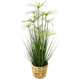 Kunstpflanze I.GE.A. "Zyperngras in Wasserhyazinthentopf" Kunstpflanzen Gr. B/H: 30 cm x 90 cm, 1 St., grün Künstliche Zimmerpflanzen