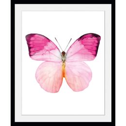 Bild queence "Jody" Bilder Gr. B/H: 50 cm x 70 cm, Wandbild Schmetterlinge Hochformat, 1 St., rosa Kunstdrucke