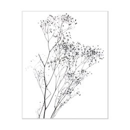 Bild queence "Dana" Bilder Gr. B/H: 50 cm x 70 cm, Wandbild Blumen Hochformat, grau (weiß) Kunstdrucke gerahmt, Blumen