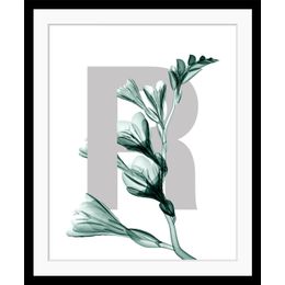 Bild queence "R-Flower" Bilder Gr. B/H: 50 cm x 70 cm, Wandbild Buchstaben Hochformat, grün (grau, dunkelgrün) Kunstdrucke Blätter, gerahmt, Blume