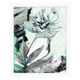 Bild queence "Christa" Bilder Gr. B/H: 50 cm x 70 cm, Wandbild Blumen Hochformat, grau (grau, blau) Kunstdrucke Rose, gerahmt