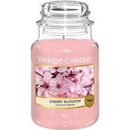 yankee candle Raumdüfte Duftkerzen Cherry Blossom Classic Medium Glass