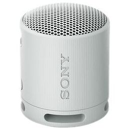 Globo SONY SRS-XB100 Bluetooth Lautsprecher, Hellgrau, Wasserfest