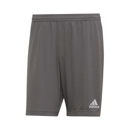 adidas Performance Sportshorts 'Entrada 22' Herren Größe XL basaltgrau / weiß