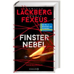 Droemer Knaur Verlagsgruppe Finsternebel / Dabiri Walder Bd.2 - Camilla Läckberg, Henrik Fexeus, Gebunden