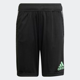 Adidas AEROREADY Heather Shorts